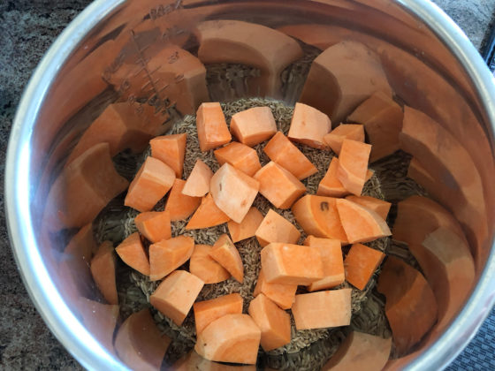 Instant Pot Dog Food | Hobby Stash